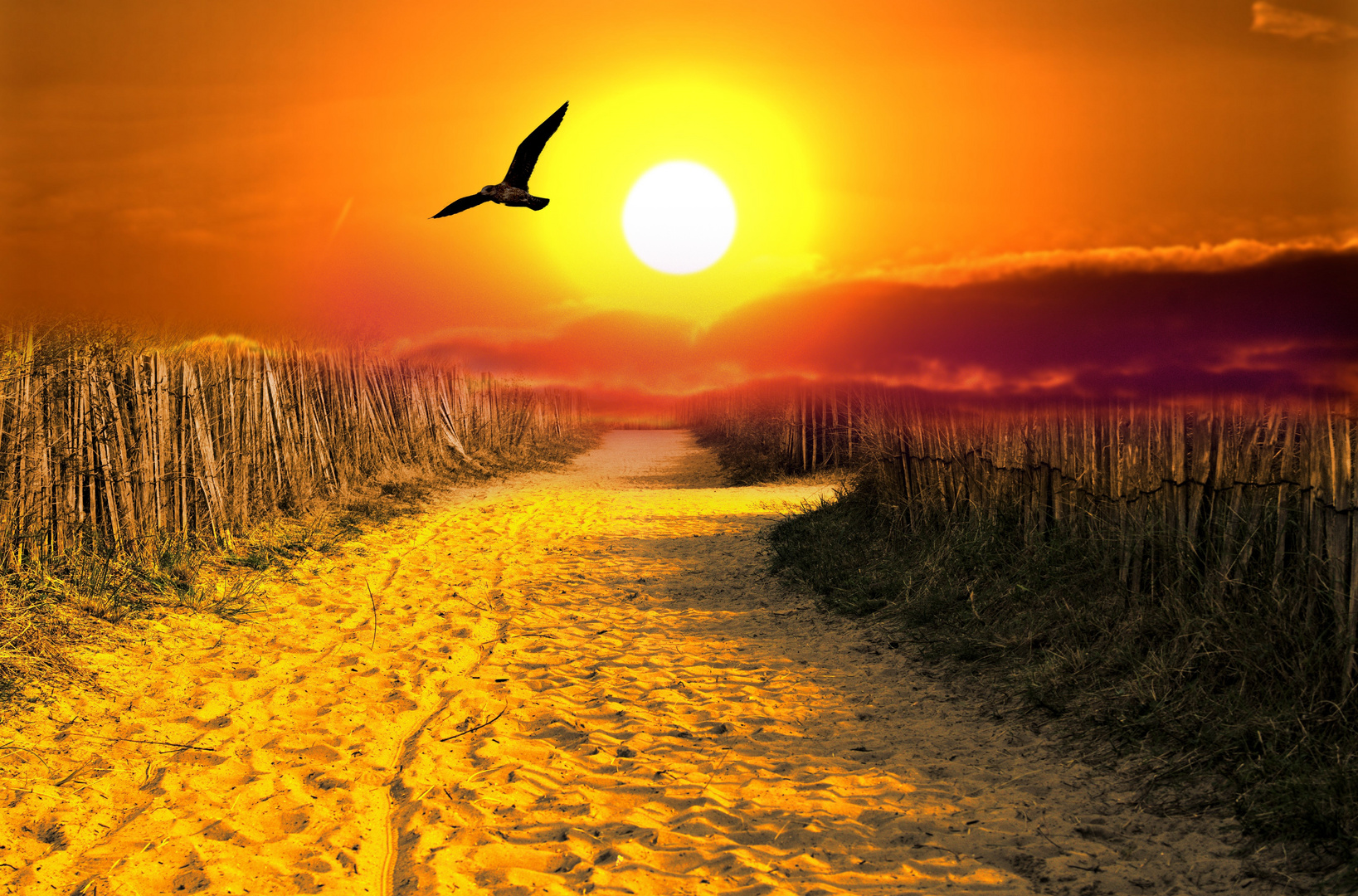 Der Sonne entgegen Foto & Bild | fotokunst, color fine art, composing ...