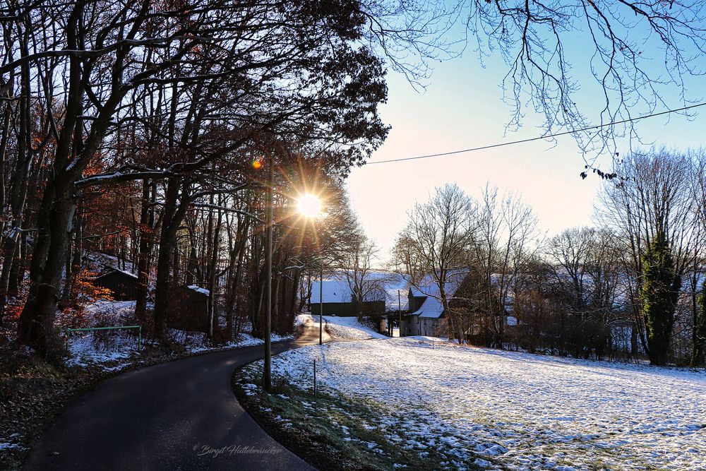 Der Sonne entgegen Foto & Bild | landschaft, jahreszeiten, winter Bilder auf fotocommunity