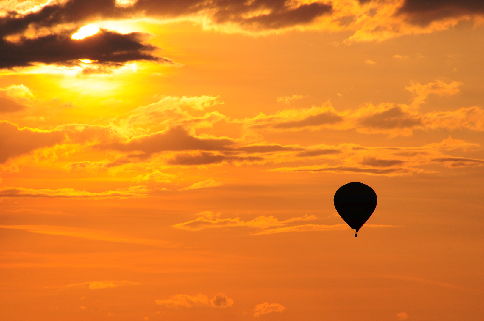 Der Sonne entgegen Foto & Bild | deutschland, europe, rheinland-pfalz ...