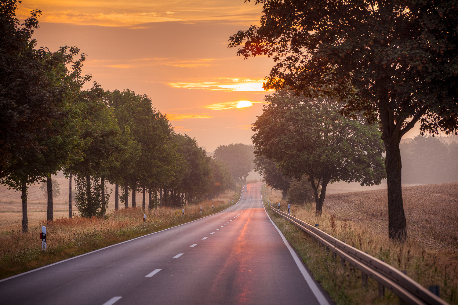 Der Sonne entgegen ... Foto & Bild | sonnenaufgänge, nebelstimmungen ...