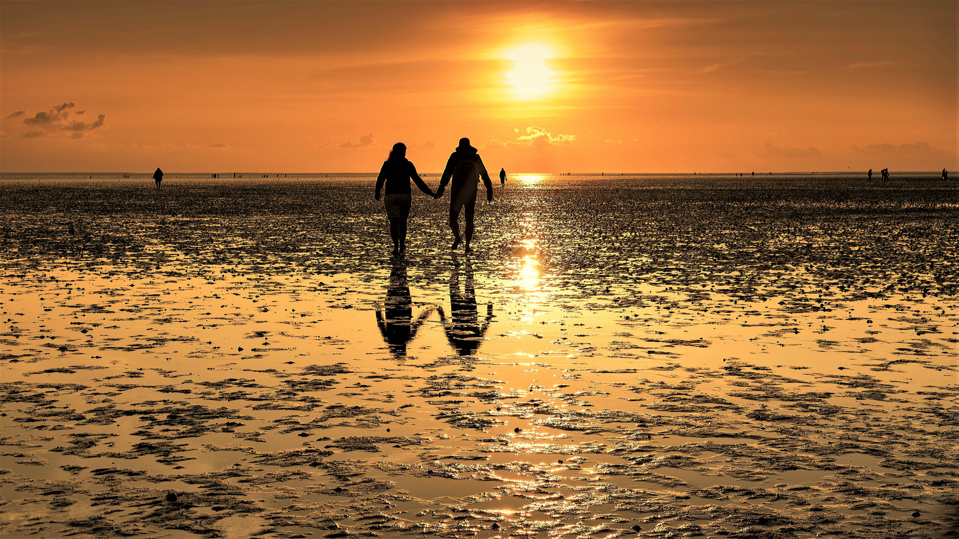 Der Sonne entgegen. Foto & Bild | world, sonnenuntergang, meer Bilder ...