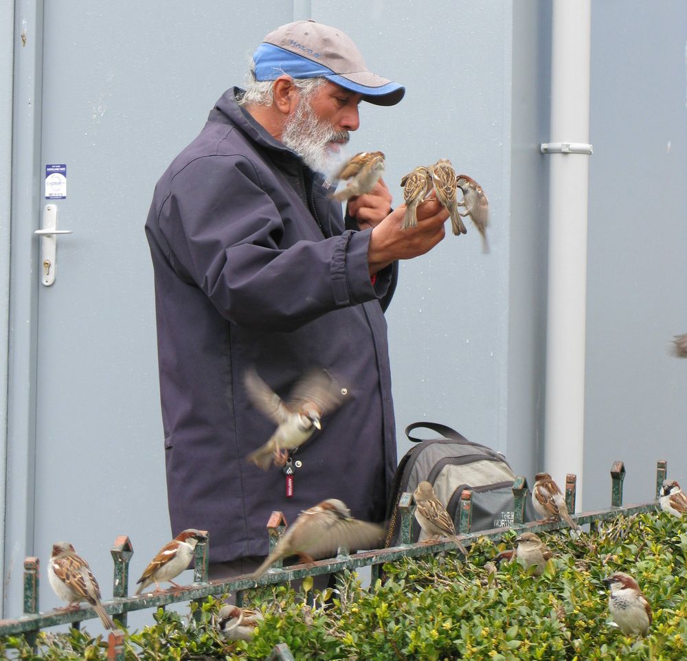 der Spatz in der Hand Foto & Bild | streetfotografie mit menschen ...