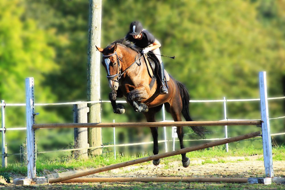 Der Sprung Foto & Bild | sport, experimental - berge, reiten Bilder auf ...