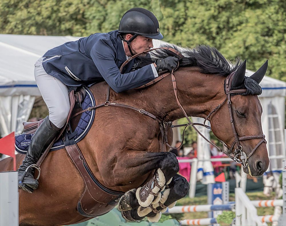 der sprung.... Foto & Bild | Bilder auf fotocommunity