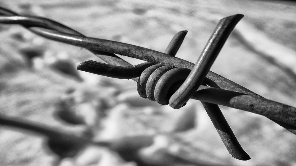 Der Stacheldraht Foto & Bild | abstraktes, industrie und technik ...