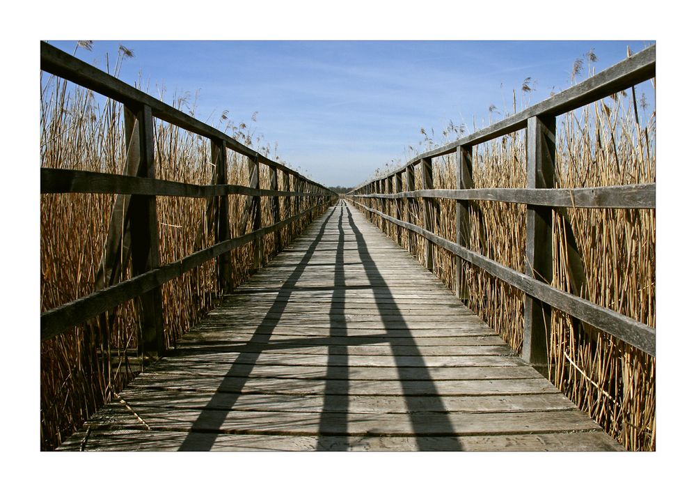 Der Steg.... Foto & Bild | landschaft, wege und pfade, natur Bilder auf ...