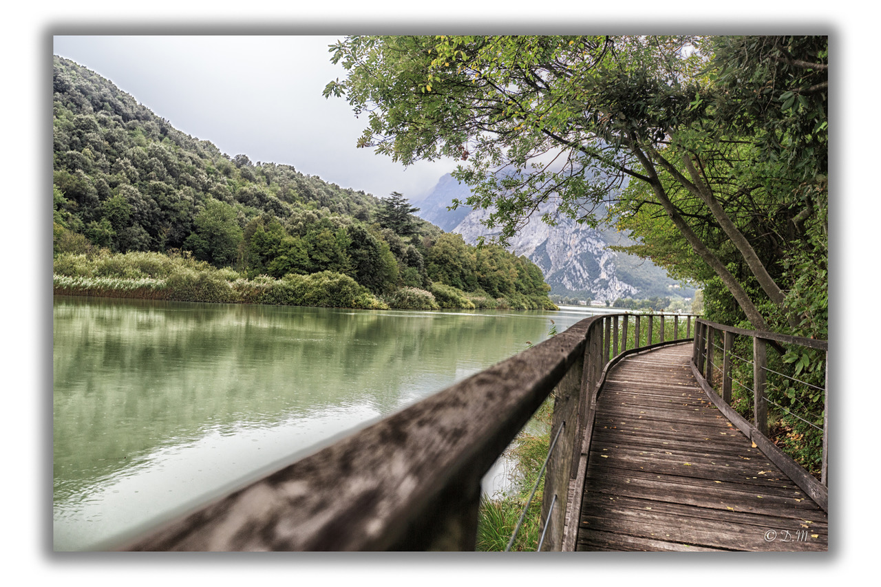 Der Steg Foto & Bild | landschaft, lebensräume, natur Bilder auf ...