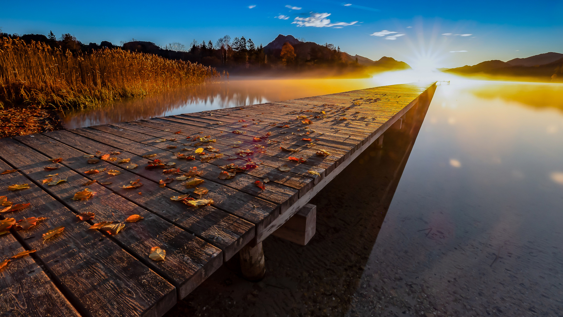 Der Steg Foto & Bild | landschaft, jahreszeiten, bach, fluss & see ...