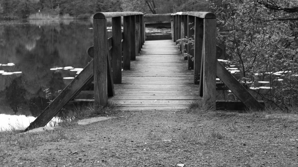 Der Steg Foto & Bild | landschaft, bach, fluss & see, see, teich ...