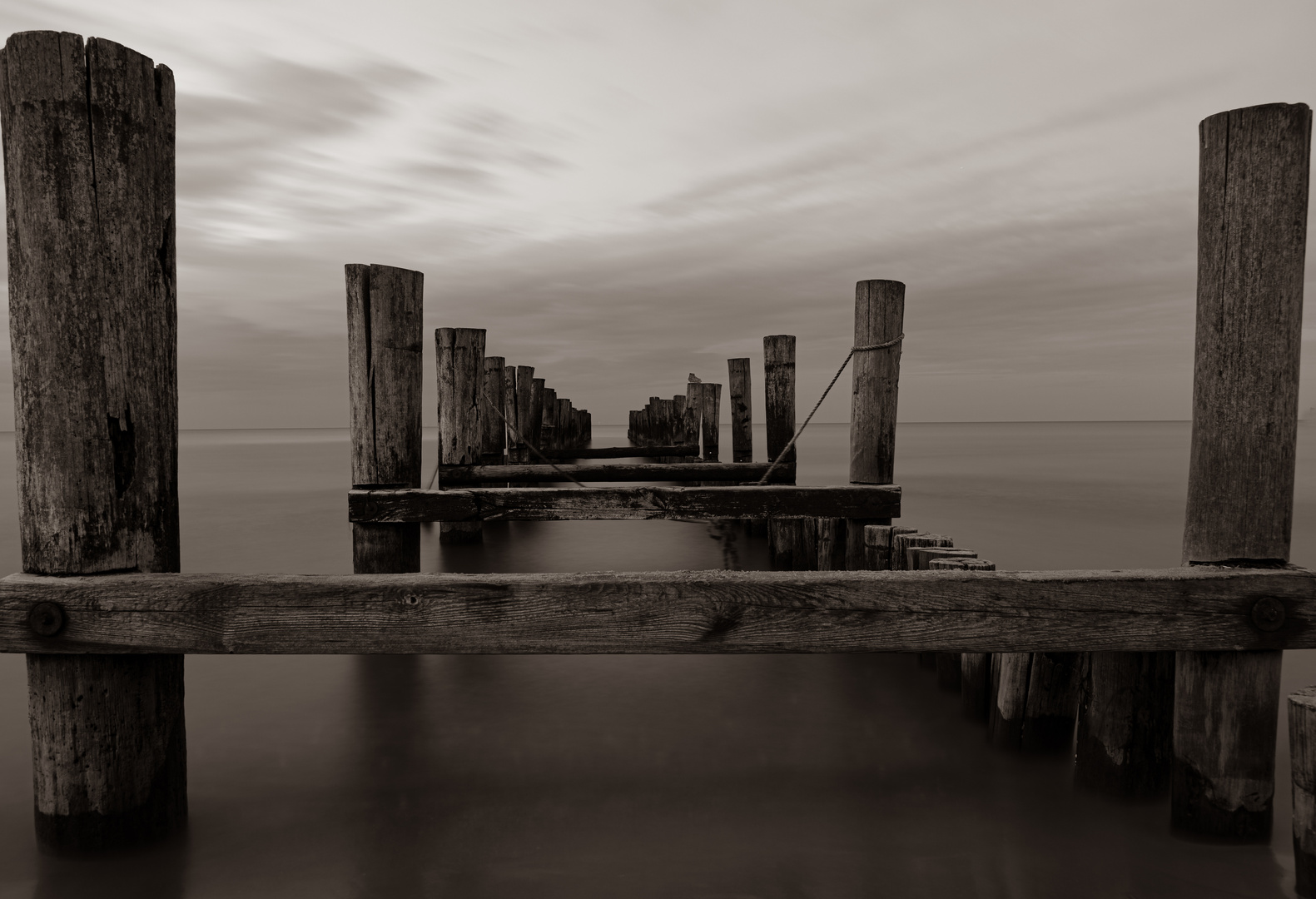 Der Steg Foto & Bild | deutschland, europe, mecklenburg- vorpommern Bilder auf fotocommunity