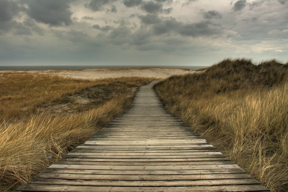 Der Steg Foto & Bild | landschaft, meer & strand, dünen Bilder auf ...