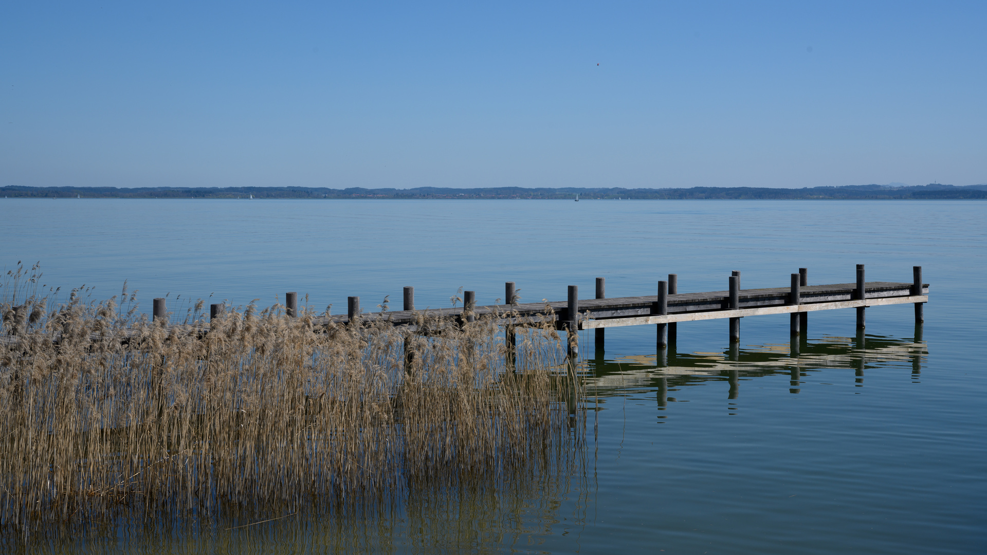 Der Steg Foto & Bild | landschaft, bach, fluss & see, see, teich ...