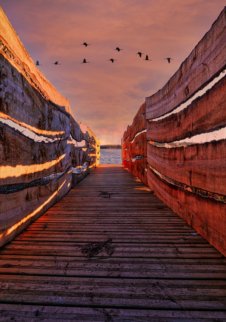 Der Steg Foto & Bild | europe, france, landschaft Bilder auf fotocommunity