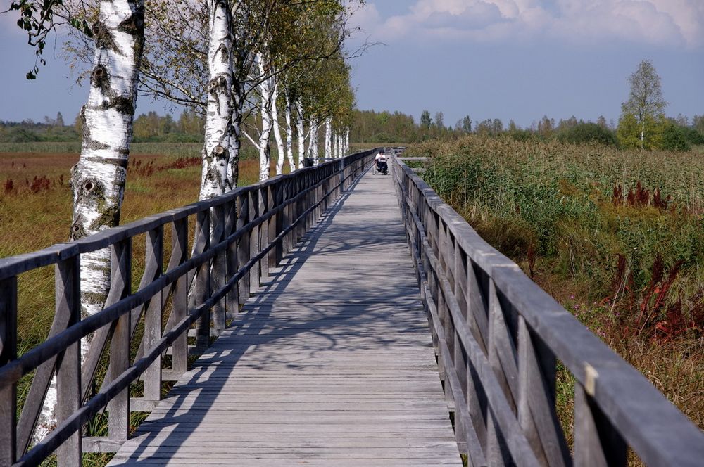 der Steg Foto & Bild | deutschland, europe, baden- württemberg Bilder ...
