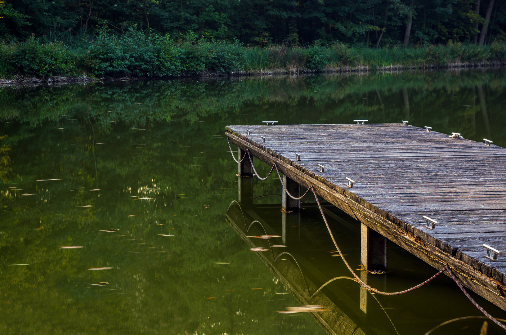 Der Steg Foto & Bild | fotos, oktober, outdoor Bilder auf fotocommunity