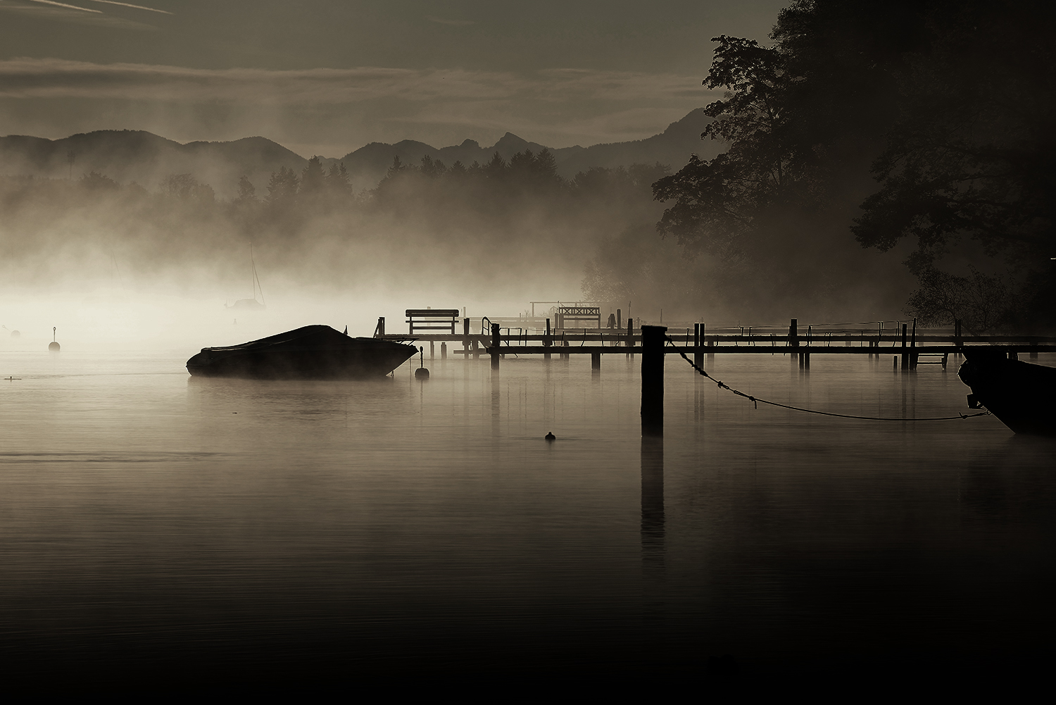 der Steg Foto & Bild | landschaft, sonnenaufgänge, nebelstimmungen ...