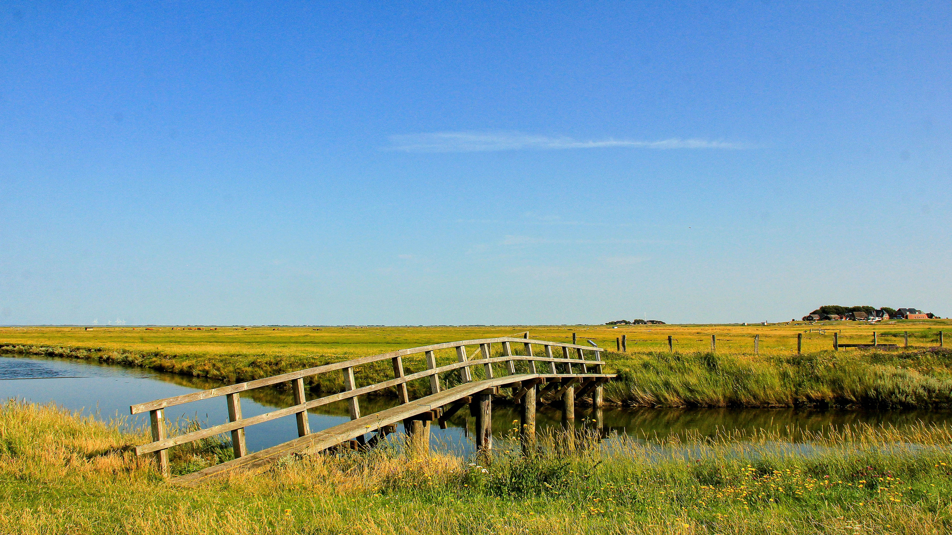 der Steg Foto & Bild | world, wiese, himmel Bilder auf fotocommunity