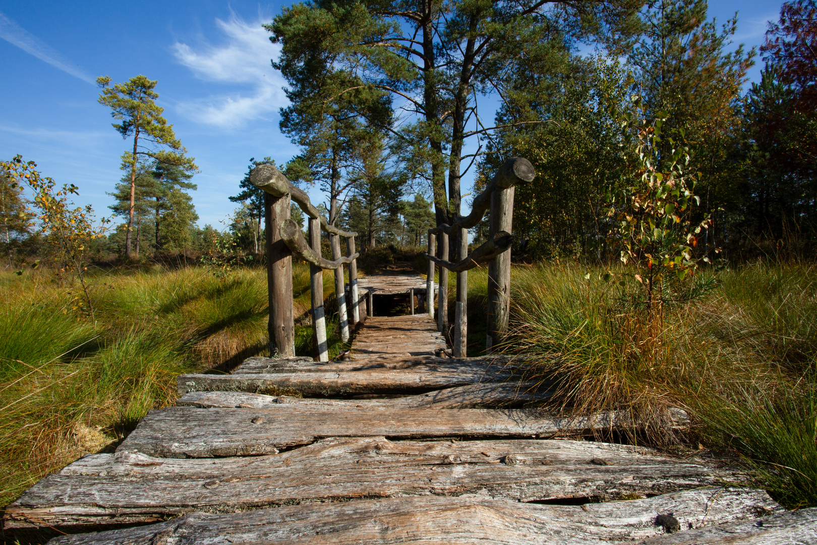 der Steg im Moor Foto & Bild | landschaft, moor, fotos Bilder auf ...