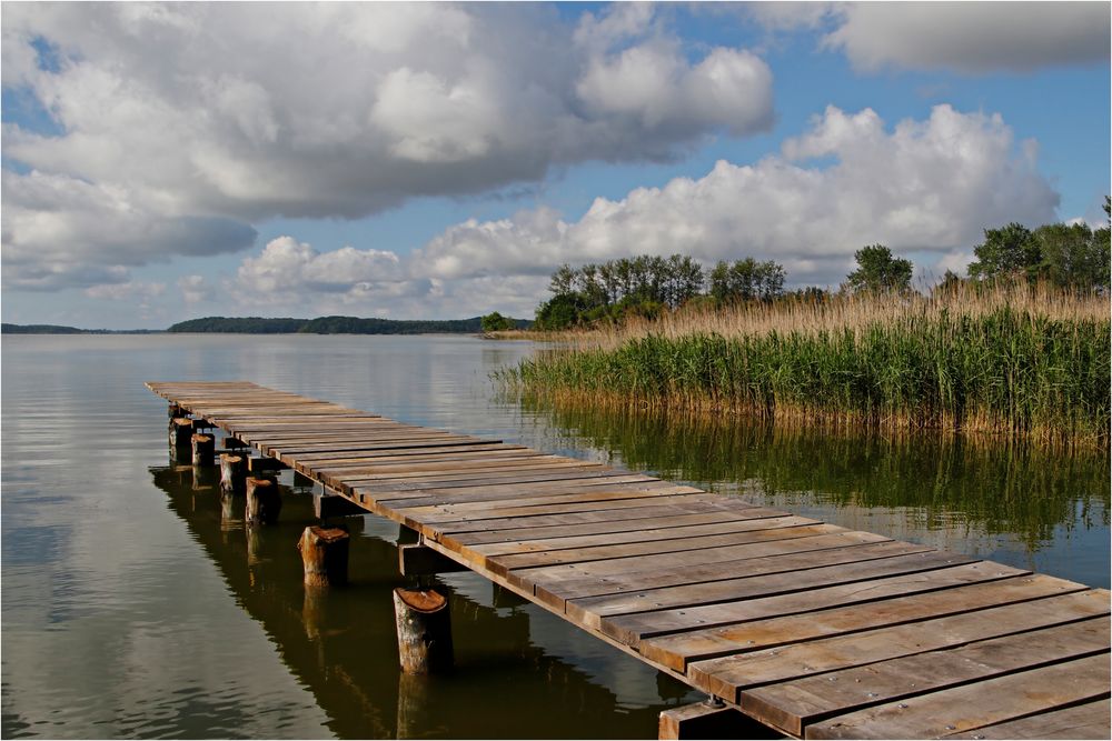 der Steg ist fertig Foto & Bild | natur, rügen, landschaft Bilder auf ...