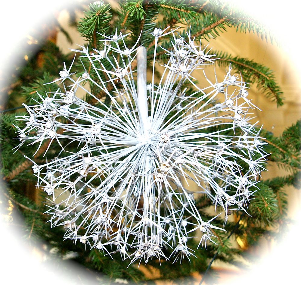 Der Stern .... Foto & Bild | kunstfotografie & kultur, kleinkunst, art ...