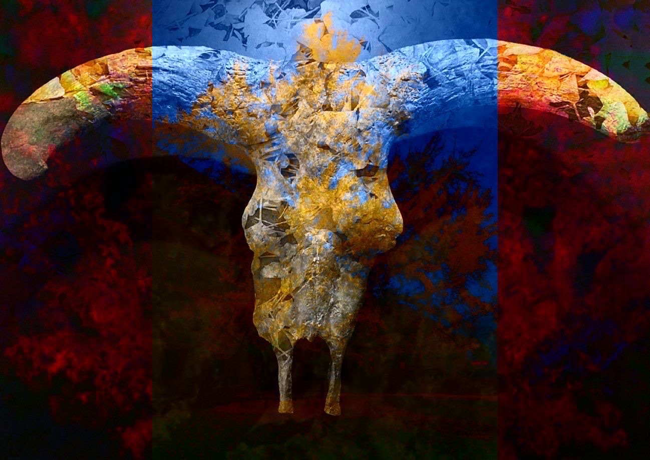 der Stier Foto & Bild | art, spezial, natur Bilder auf fotocommunity