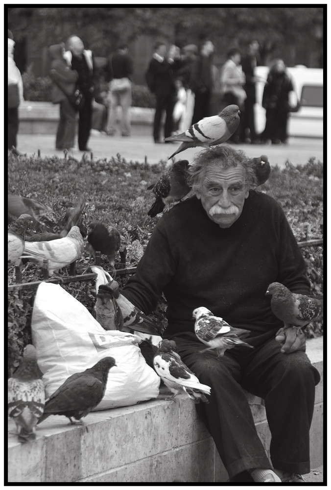 Der Taubenmann von Notre Dame Foto & Bild | streetfotografie mit menschen, street: spontane ...