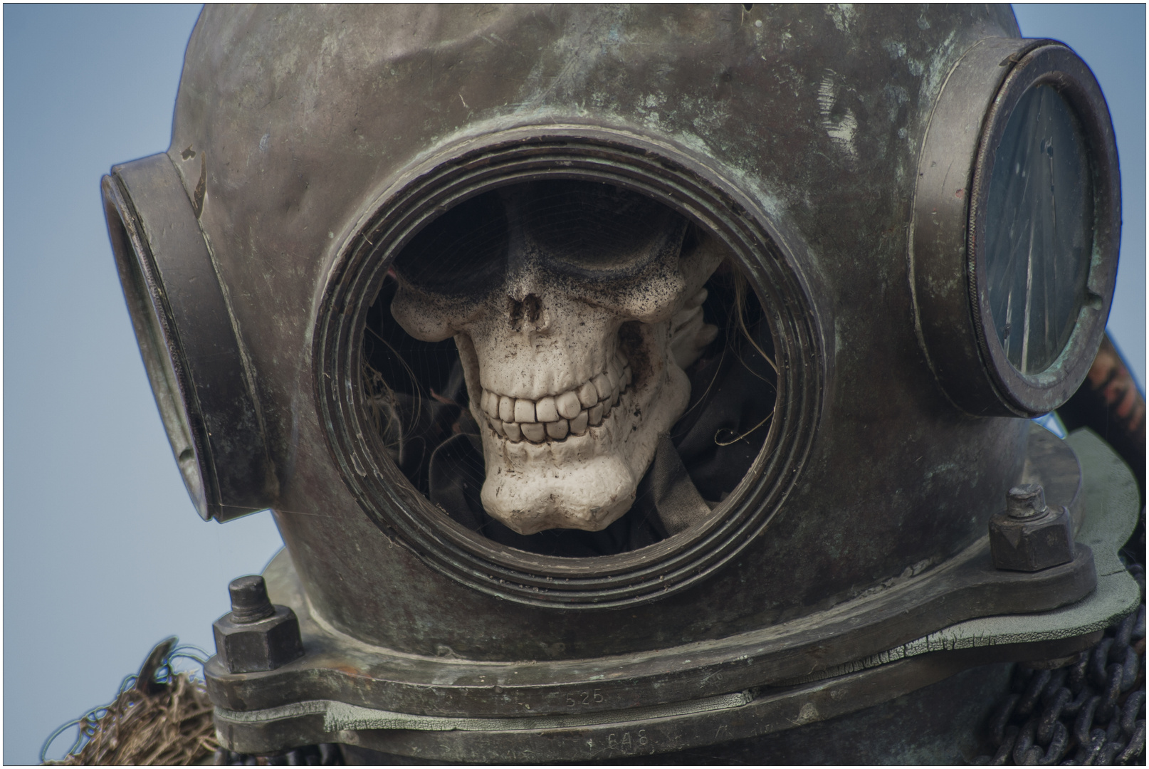 der Taucher ... Foto & Bild | fotos, world, meer Bilder auf fotocommunity