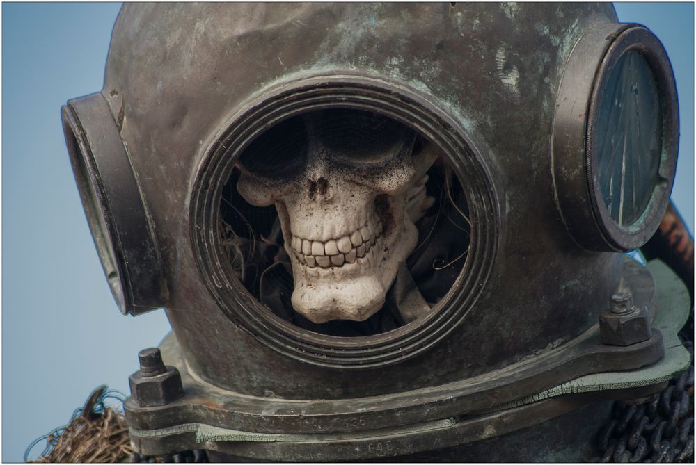 der Taucher ... Foto & Bild | fotos, world, meer Bilder auf fotocommunity