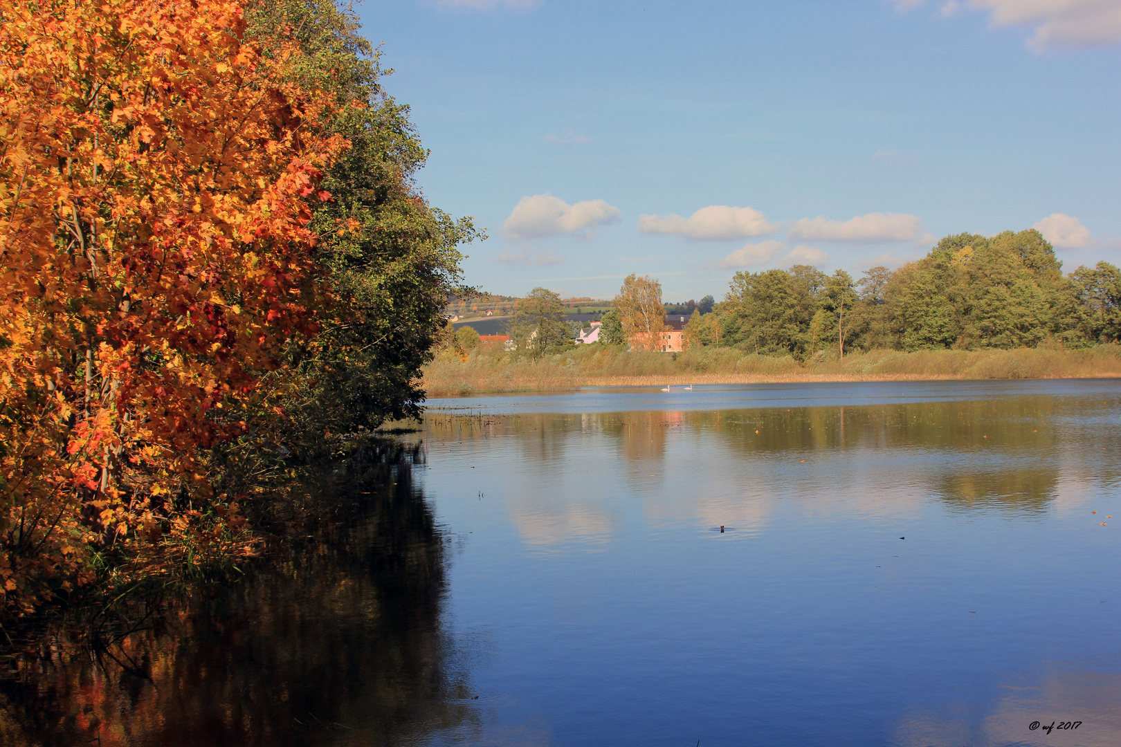 Der Teich (2) Foto & Bild | landschaft, home, natur Bilder auf ...