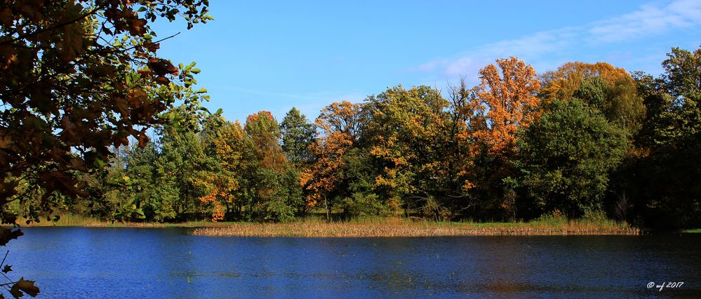 Der Teich (3) Foto & Bild | landschaft, bach, fluss & see, home Bilder ...