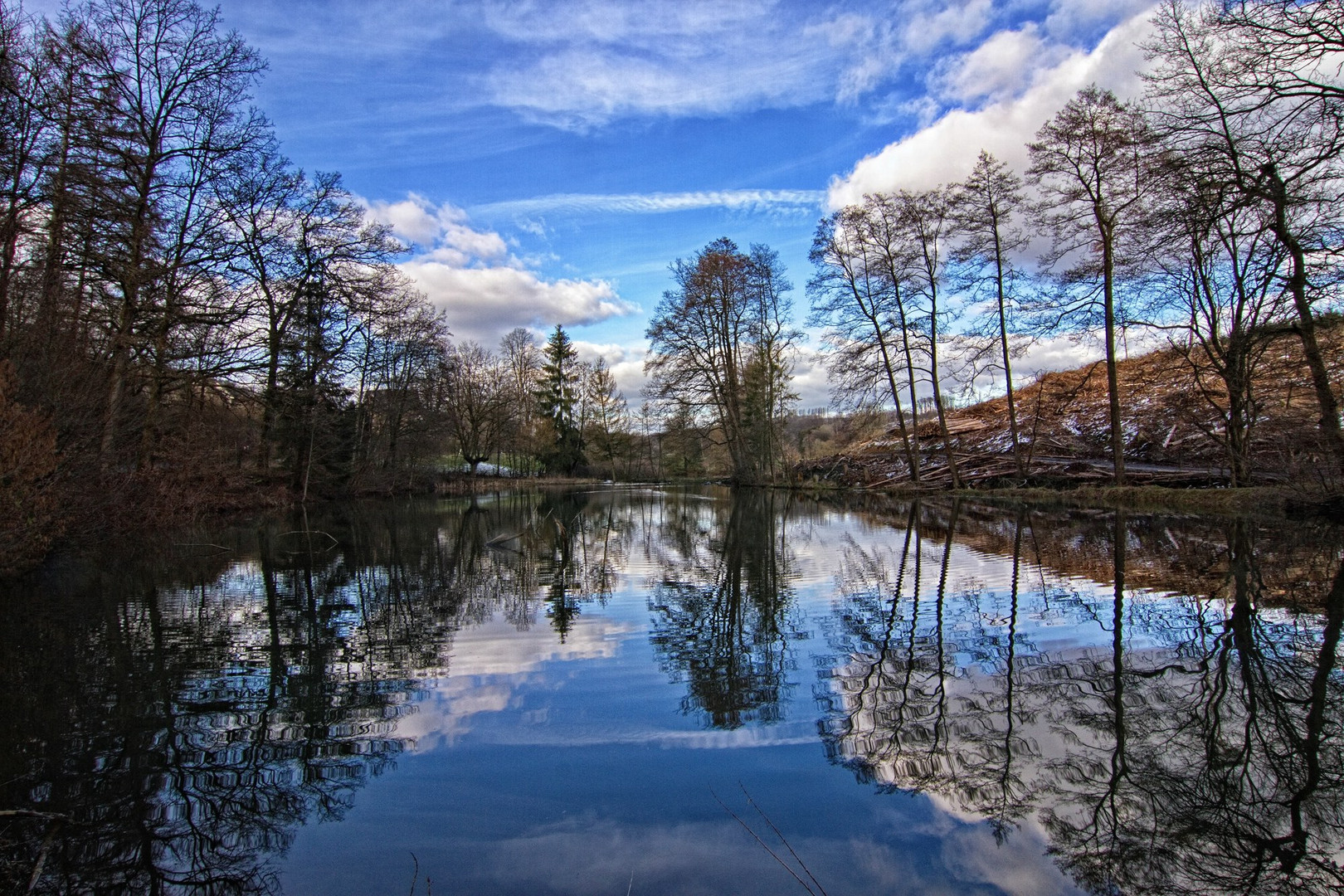 Der Teich Foto & Bild | deutschland, europe, nordrhein- westfalen ...