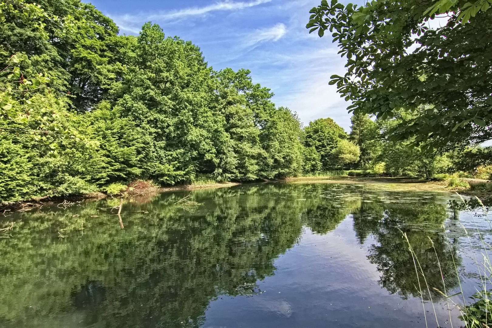 Der Teich Foto & Bild | deutschland, europe, nordrhein- westfalen ...