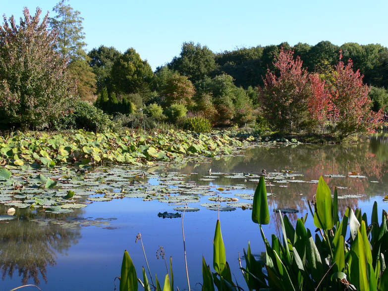Der Teich im Arboretum 2 Foto & Bild | usertreffen+veranstaltungen ...