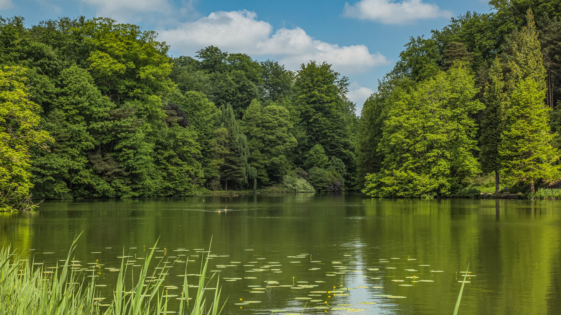 DER TEICH IM SCHLOSSPARK VON LA HULPE Foto & Bild | Bilder auf ...