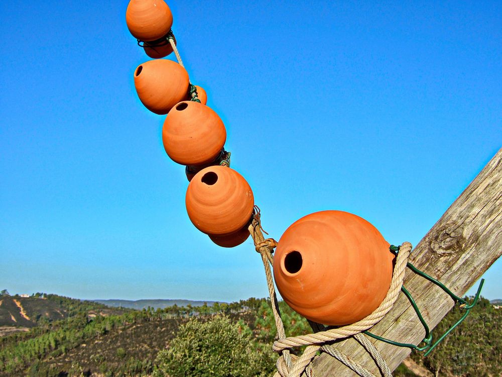 Der Ton macht die Musik. Foto & Bild | world, spezial, blau Bilder auf ...