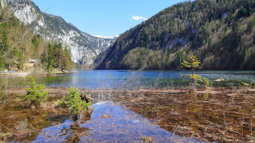 Der Toplitzsee Foto & Bild | europe, Österreich, landschaft Bilder auf ...