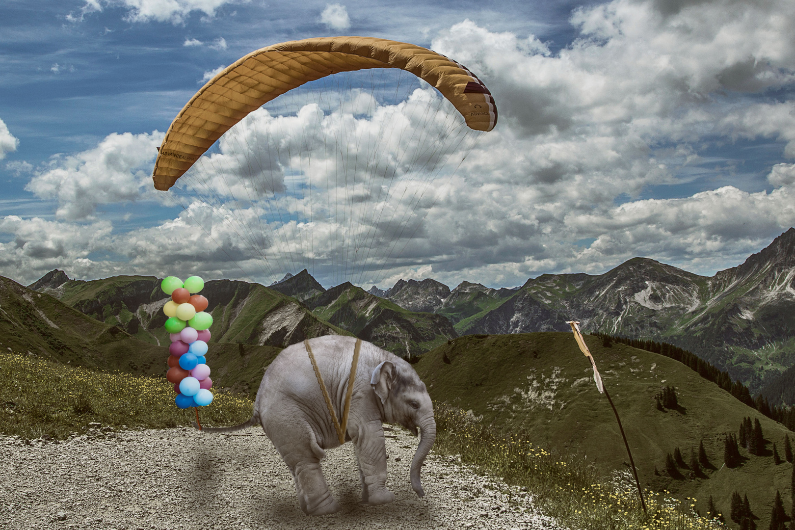 Der Traum vom Fliegen Foto & Bild | digiart challenge, 099 - der sportliche elefant, digiart ...