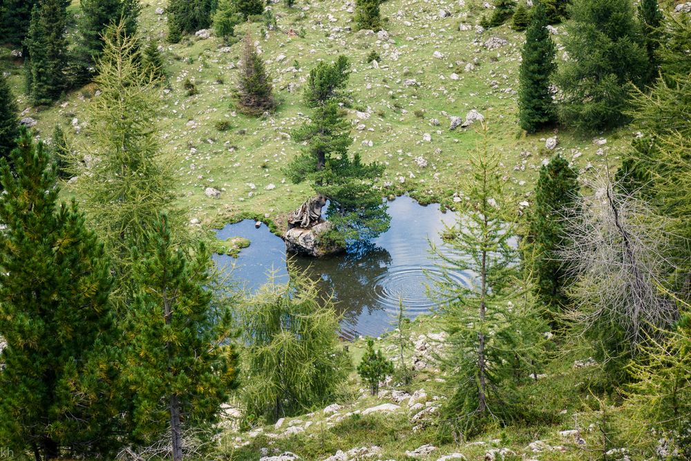 Der Tropfen Foto & Bild | urlaub, sommer, wasser Bilder auf fotocommunity