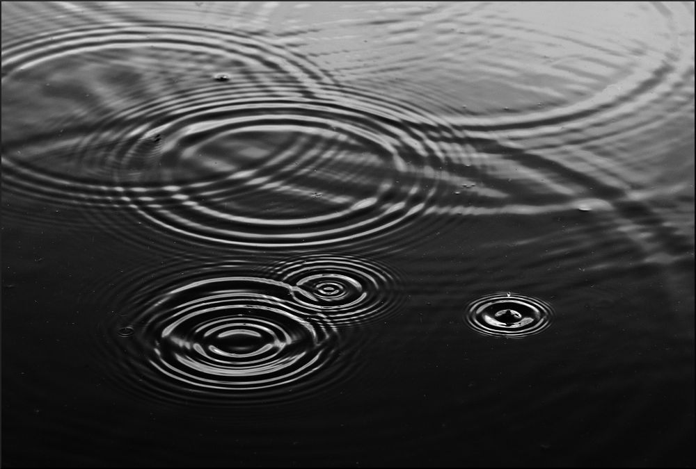 der Tropfen Foto & Bild | natur, black and white, tropfen Bilder auf ...