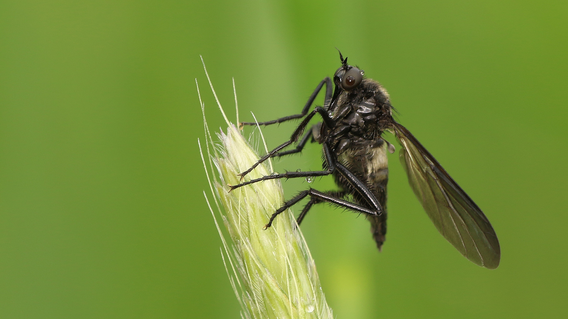 Der Tropfen... Foto & Bild | fotos, canon, makro Bilder auf fotocommunity