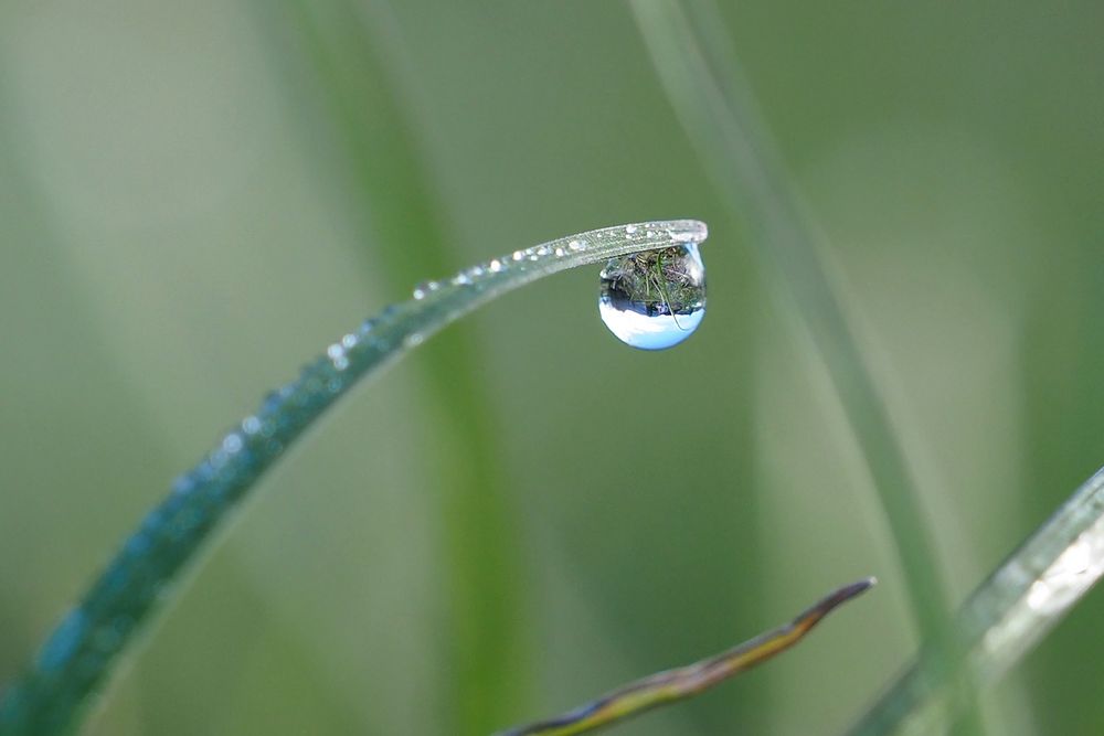 DER TROPFEN Foto & Bild | natur, motive Bilder auf fotocommunity