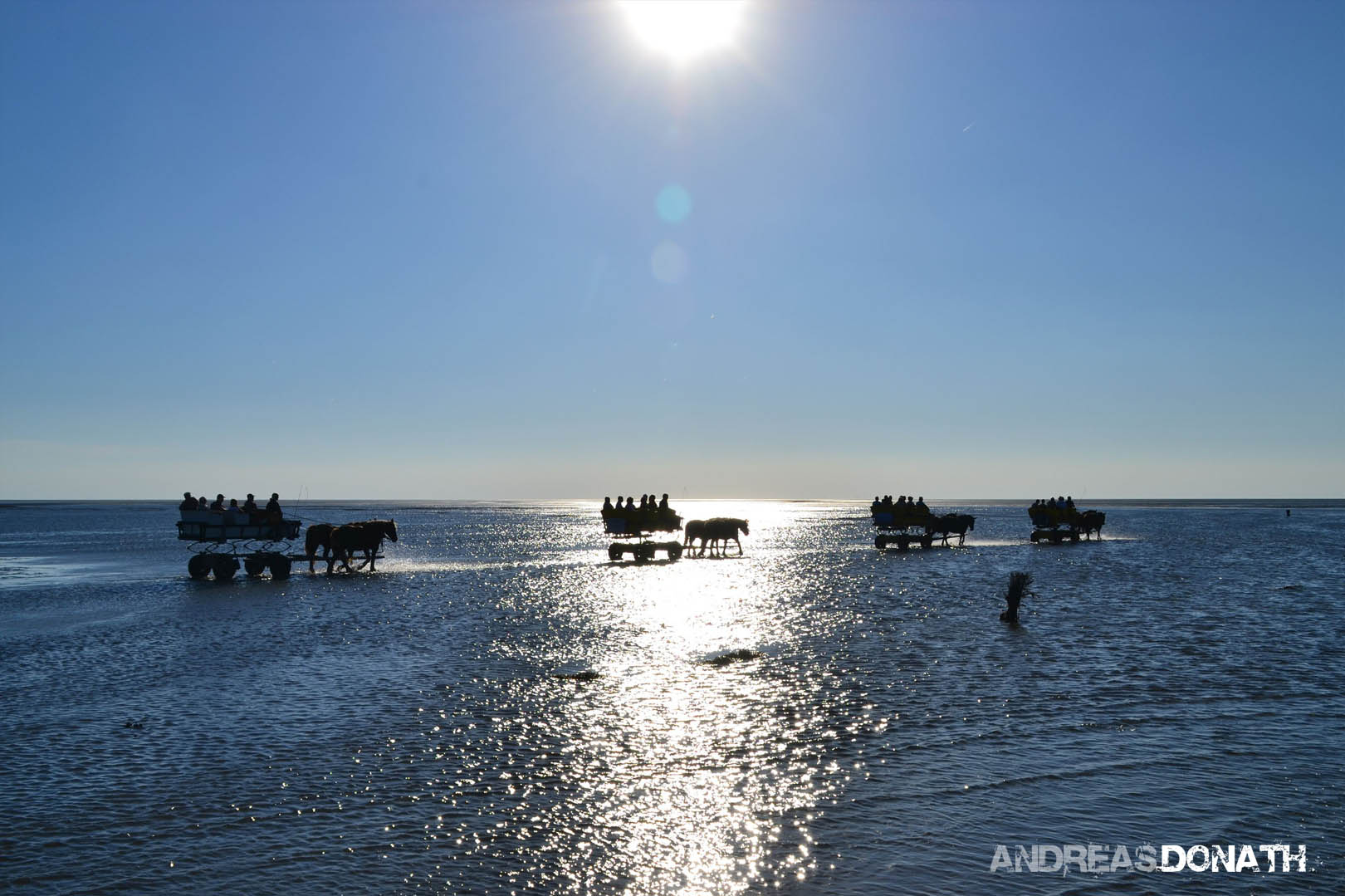 Der Tross Foto & Bild | urlaub, nordsee, reise Bilder auf fotocommunity