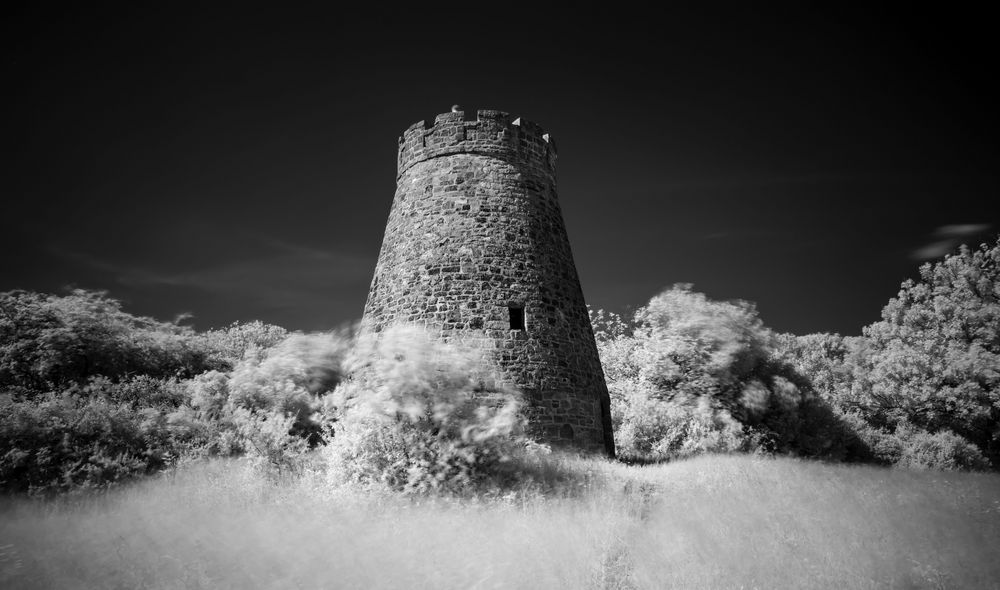 Der Turm Foto & Bild | landschaft, bäume, licht Bilder auf fotocommunity