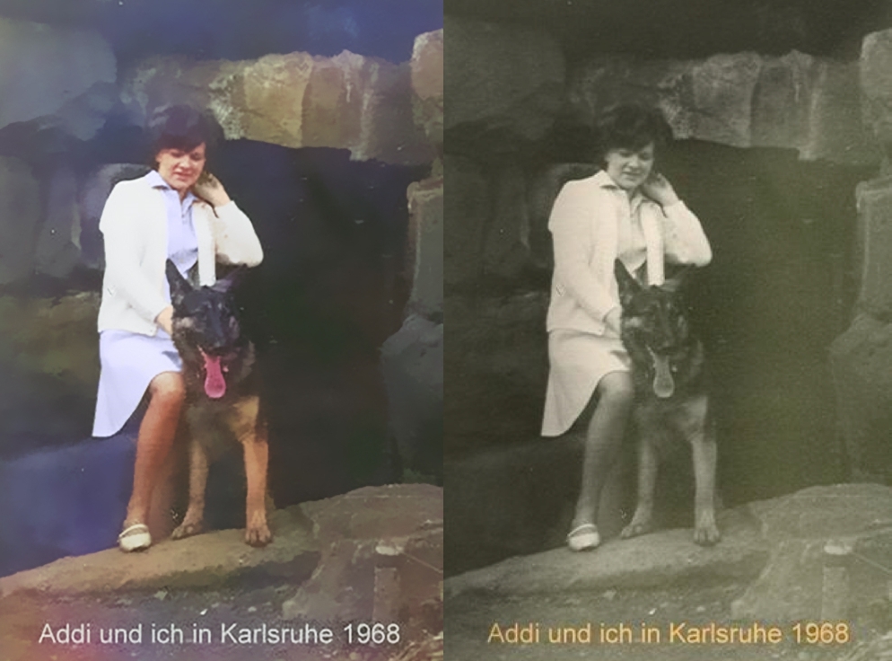 Der Unterschied, neu und alt Foto & Bild | spezial, sommer, natur ...