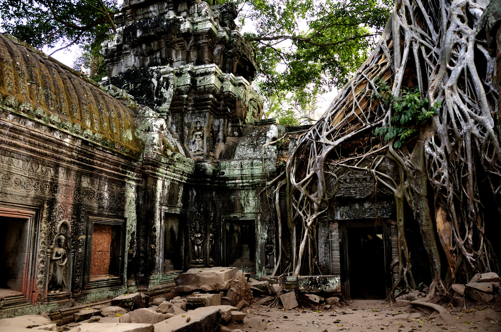 Der Urwald erobert sich sein Terrain zurück Foto & Bild | asia ...