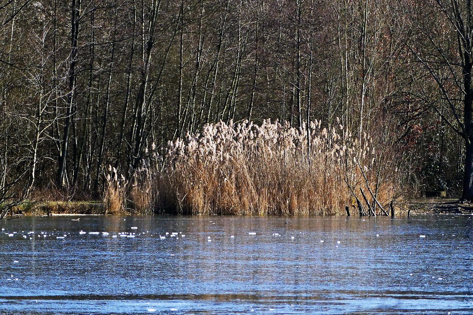 der vereiste See Foto & Bild | winter, eis, natur Bilder auf fotocommunity