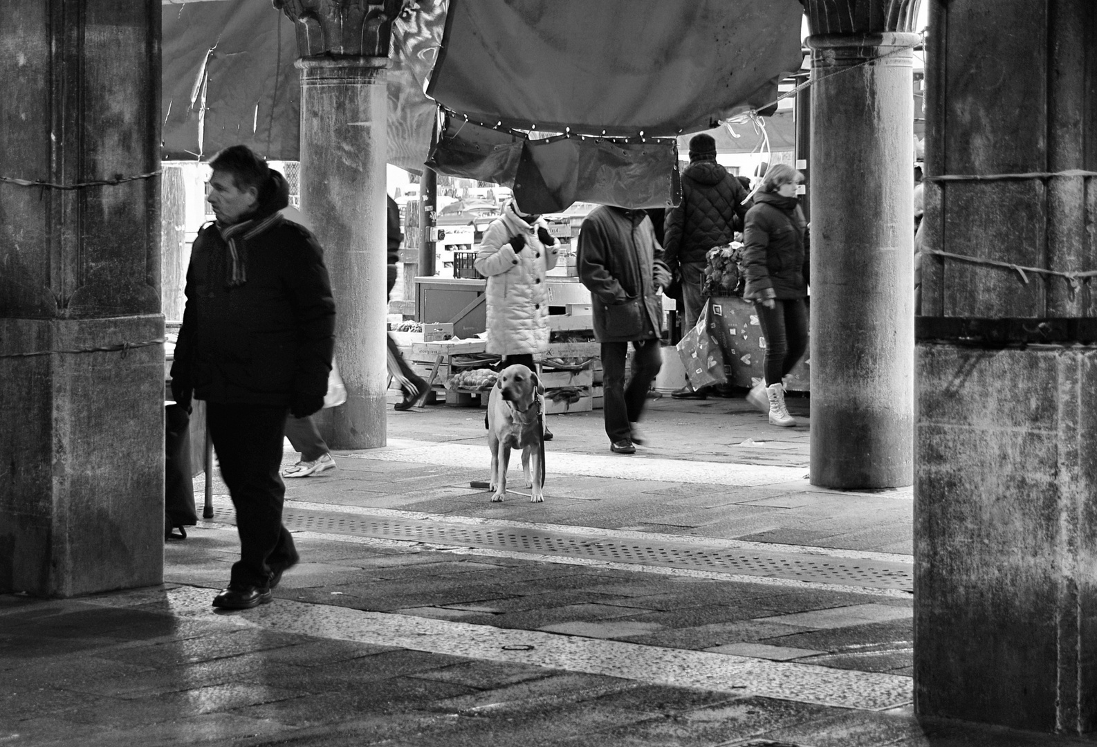 der vergessene hund Foto & Bild | streetfotografie mit menschen, streets & people, menschen ...