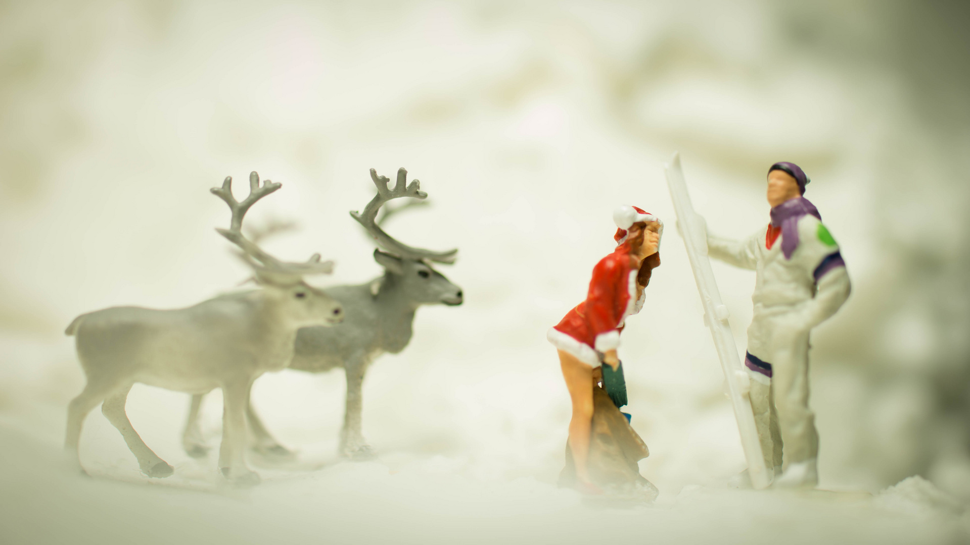 Der vergessene Wunsch Foto & Bild | stillleben, kunstfotografie & kultur, gratulation und ...