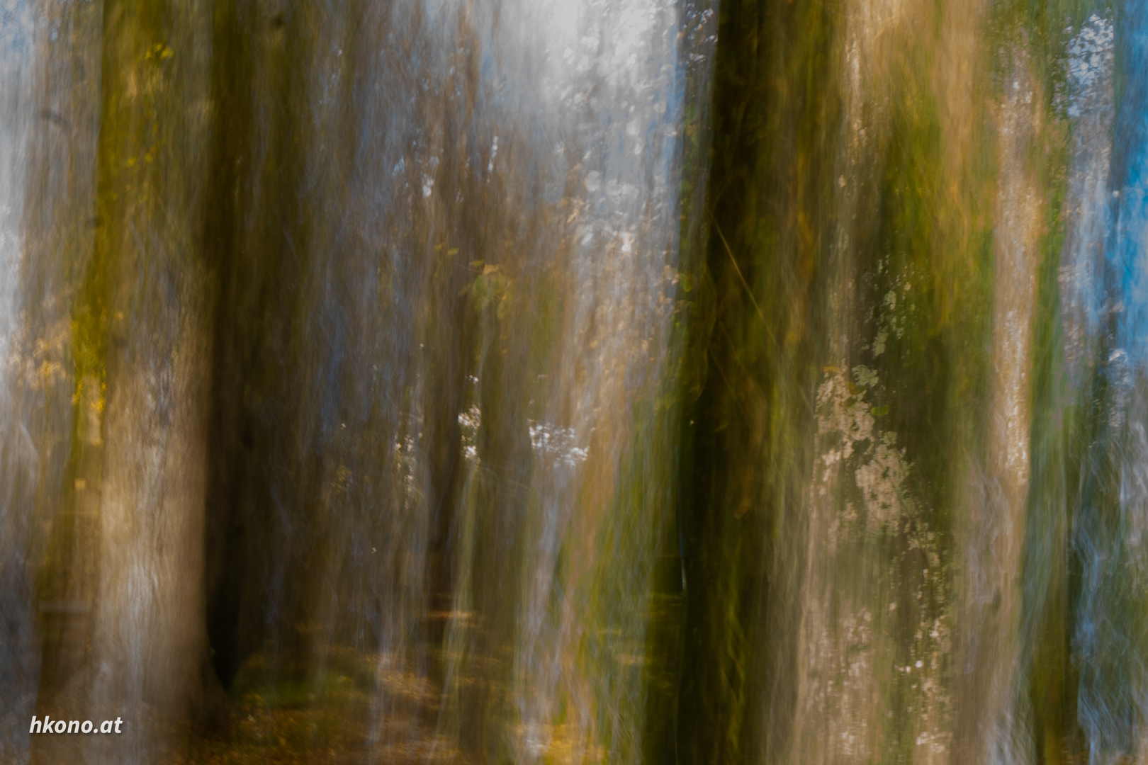 Der Versuch Foto & Bild | landschaft, wald, bearbeitungs - techniken ...