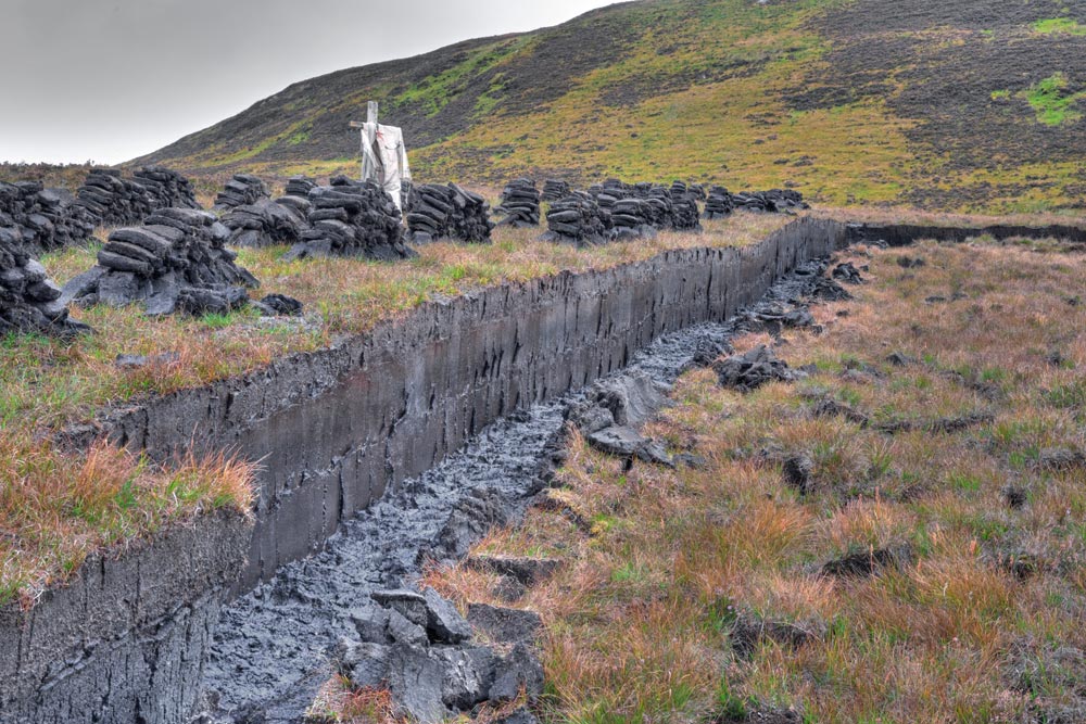 Der Wächter vom Torf Foto & Bild | landschaft, natur, torf Bilder auf ...